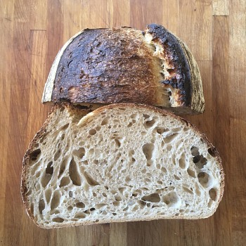 Wild Yeast: The Art and Science of Sourdough Bread - 1/30/2025 | North ...