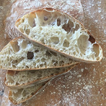 Basic Yeasted Breads - 1/7/2025 | North House