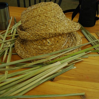 Cattail Weaving The Northern Fedora, North House Folk School Course