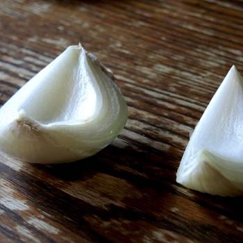 Split Log Bowls Exploring New Forms, North House Folk School course